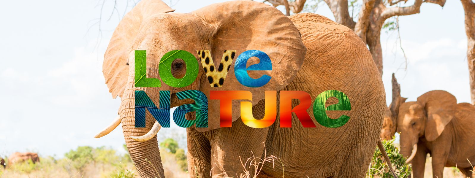 Découvrez les documentaires Love Nature disponibles dans votre ...